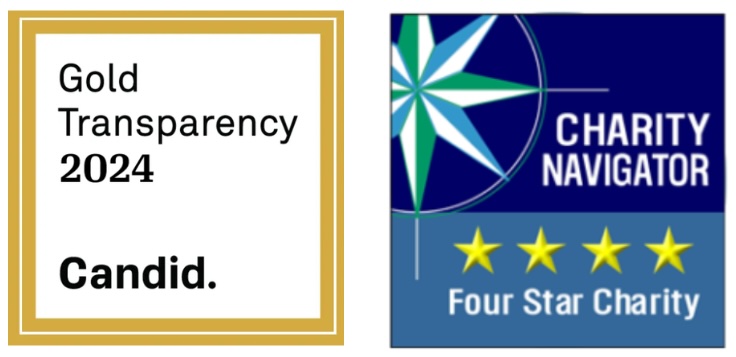 NSLA Website - Summer Learning